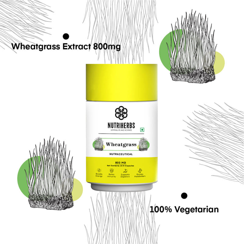Nutriherbs Wheatgrass Extract 60 Capsules 800mg for Effective Weight ...