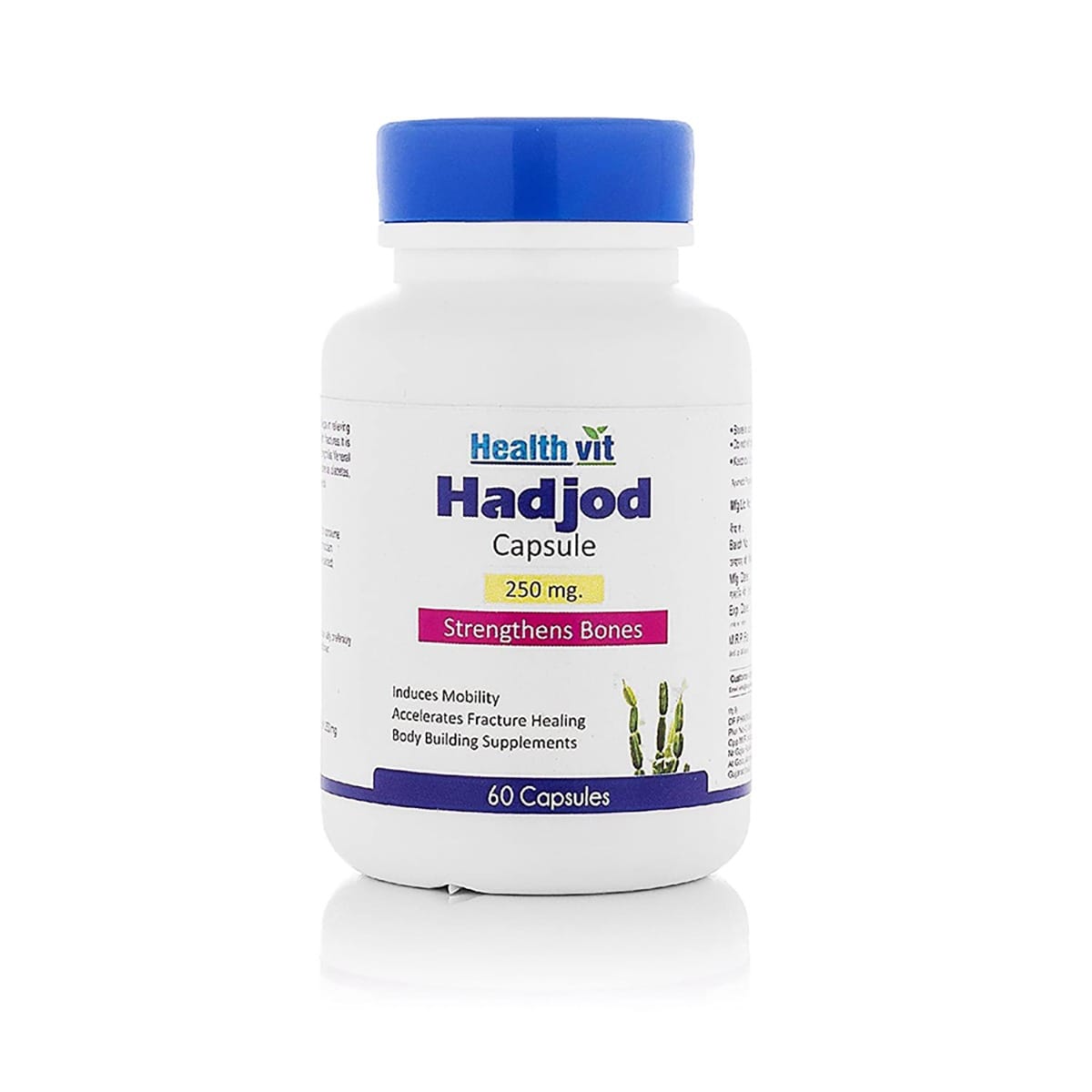 Healthvit Wellness Pure Herbs Hadjod Bone & Joint Wellness 250mg - 60 ...