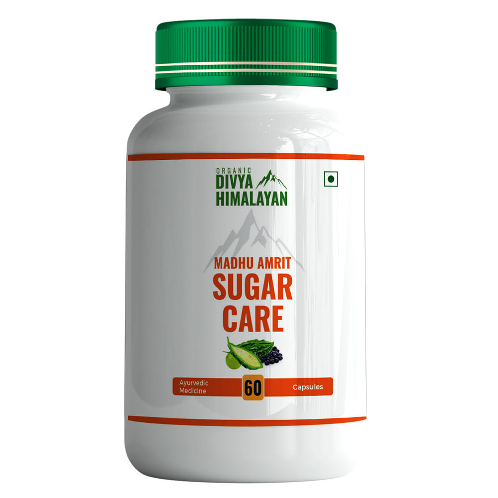 Divya Himalayan Madhu Amrit Sugar Care With Chandraprabha Vati, Karela ...