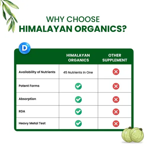 Himalayan Organics Multivitamin With Probiotics 45 Ingredients 180