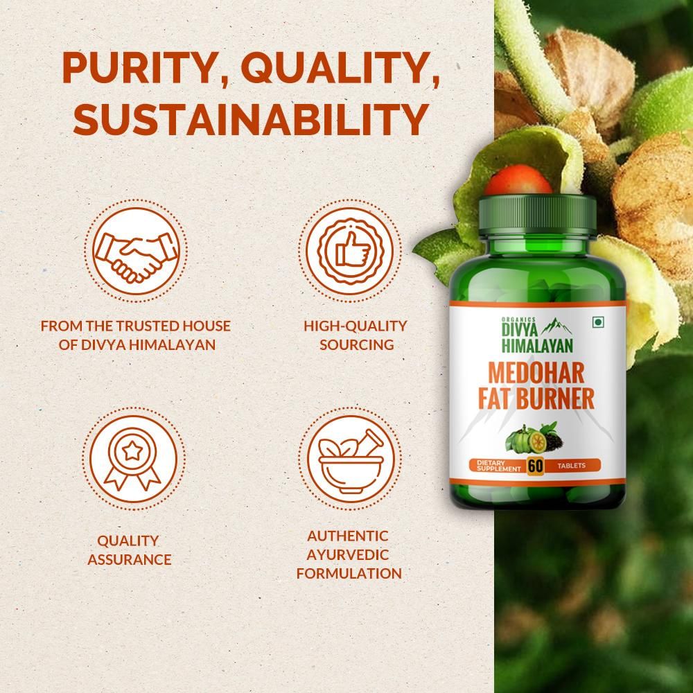 Divya Himalayan Medohar Fat Burner With Garcinia Cambogia, Green Tea ...