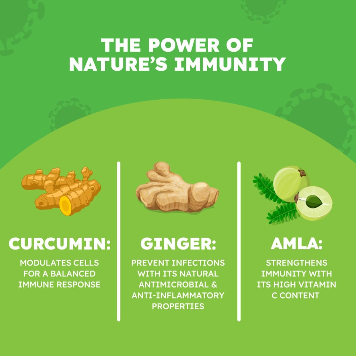 Vito Daily Immunity - Curcumin, Ginger & Amla Tablets for Improved ...