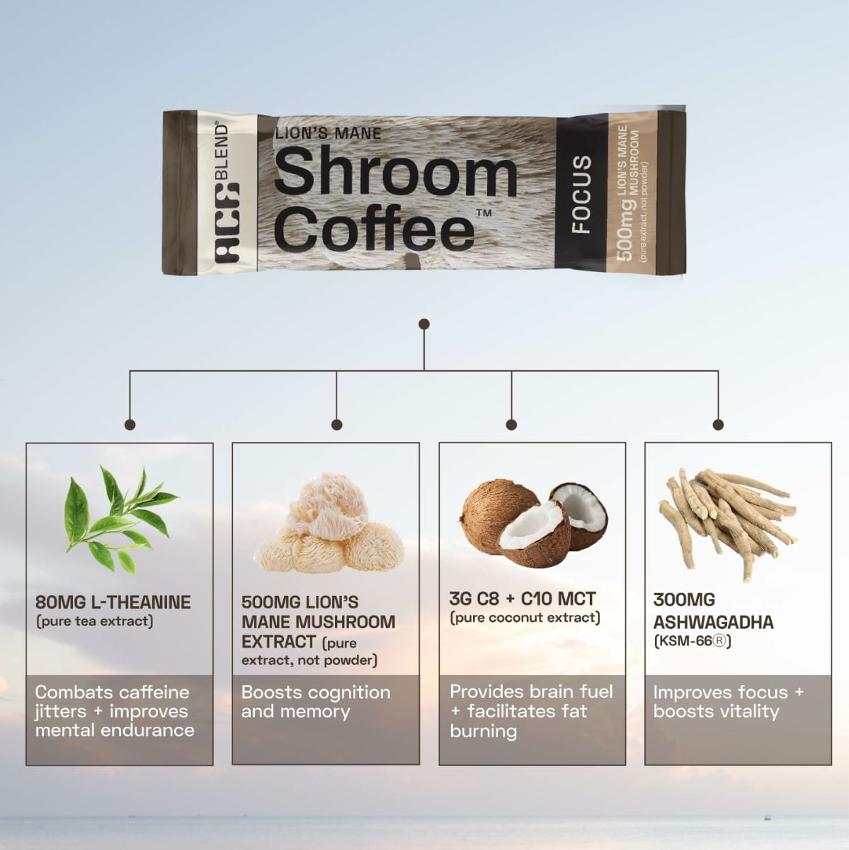 Ace Blend Lion's Mane SHROOM COFFEE™ | 15 serves | Mushroom Coffee ...
