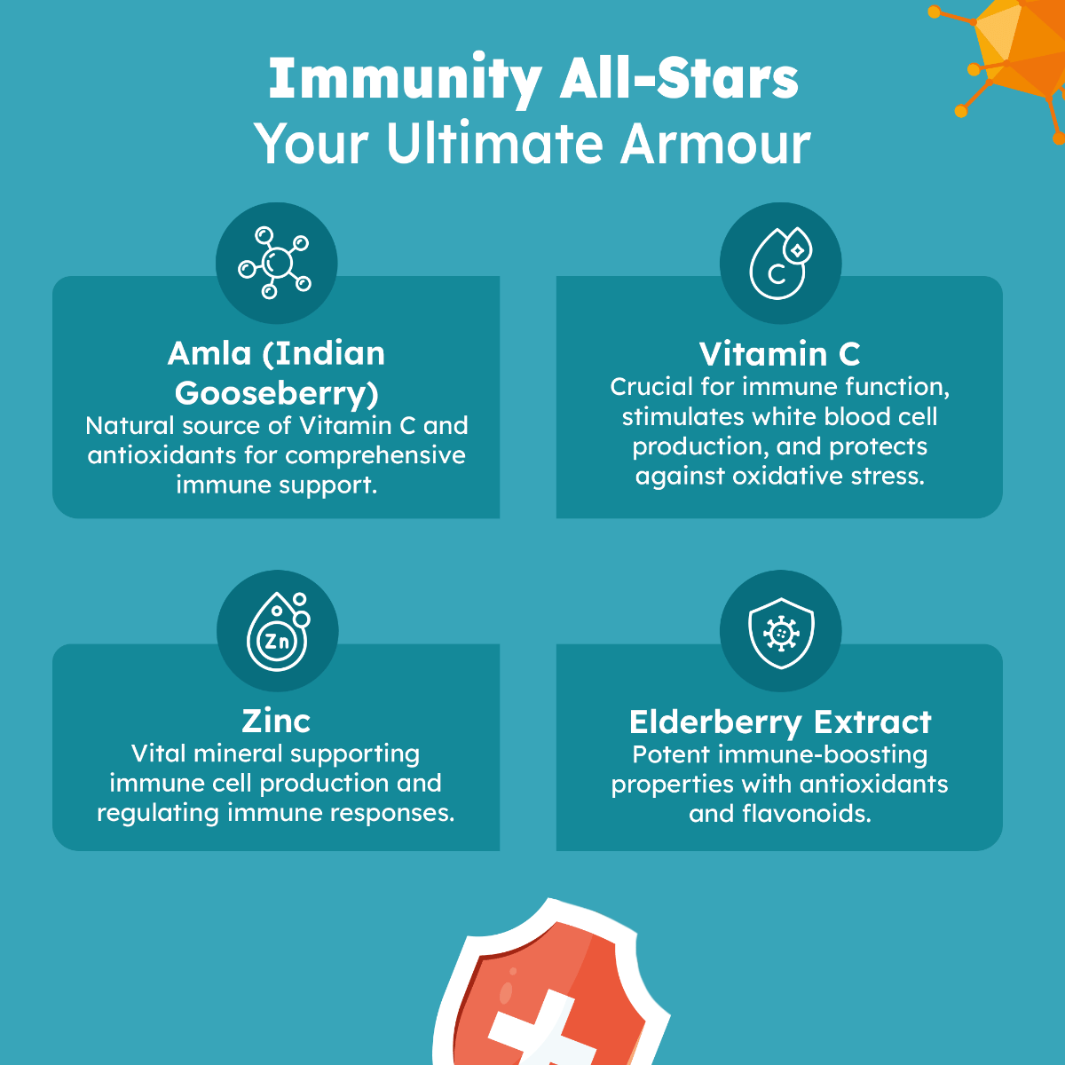 Vito Daily Defence direct to mouth powder, Covid protection, Elderberry ...