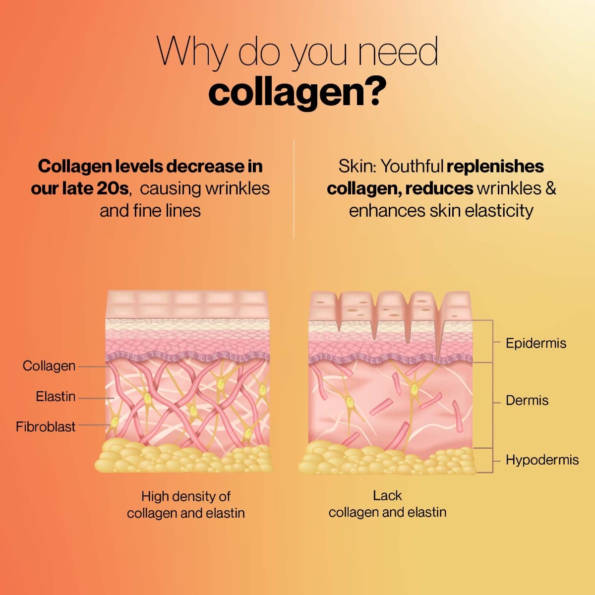 Setu Skin Youthful Marine Collagen Powder Supplements for men and women ...