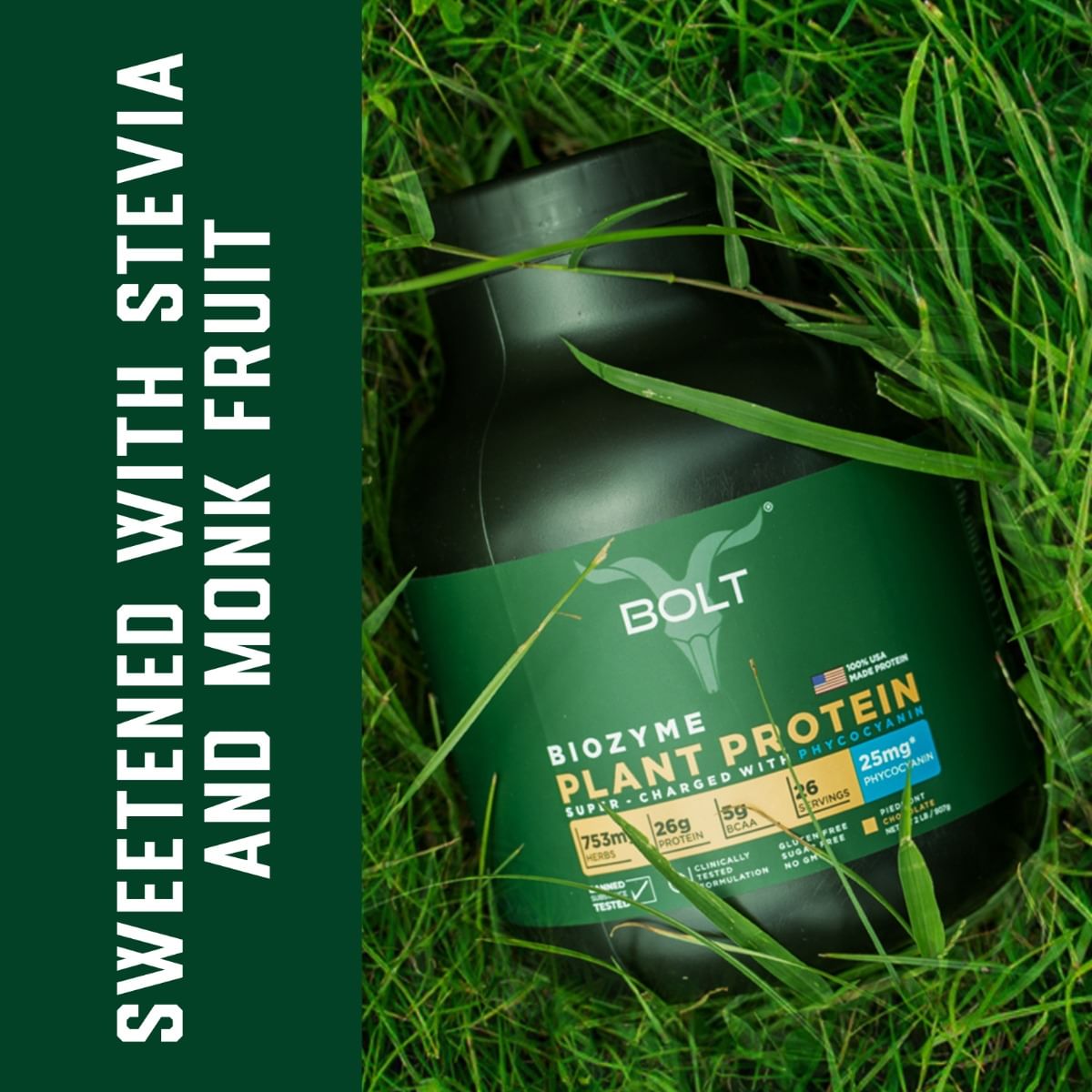 Bolt Biozyme Plant Protein Super-Charged With Phycocyanin, 26 g Protein ...