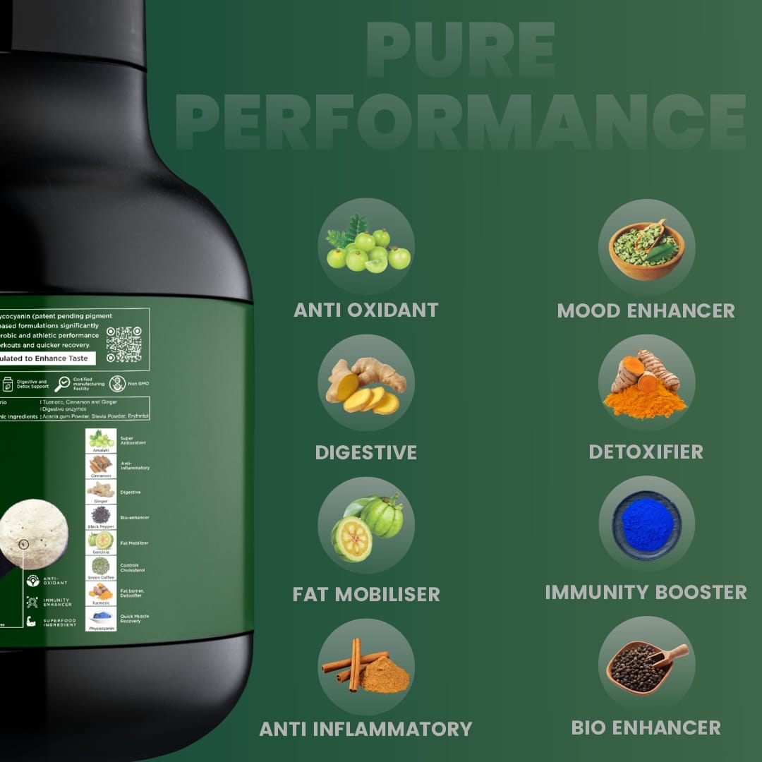 Bolt Biozyme Plant Protein Super-Charged With Phycocyanin, 26 g Protein ...