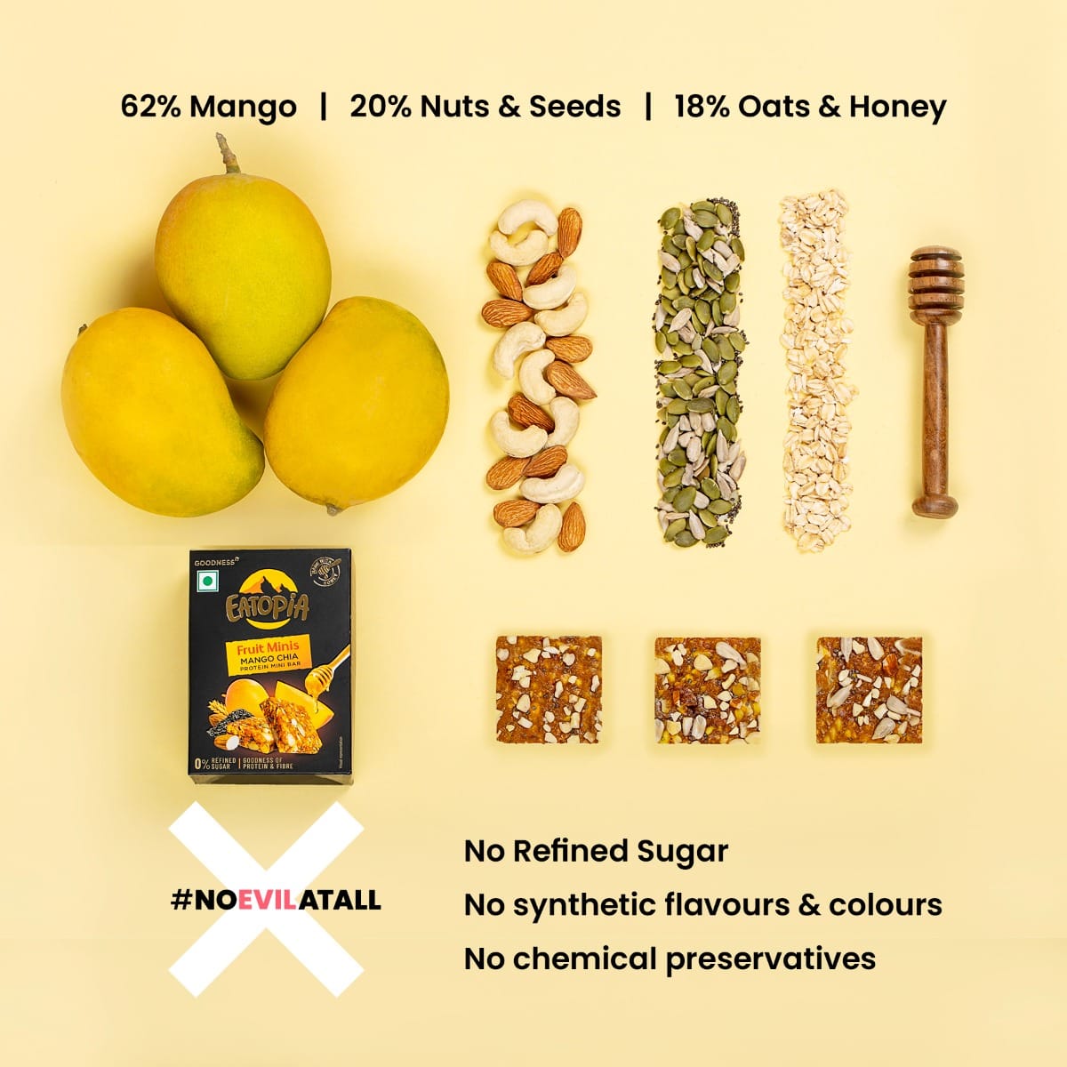 Eatopia Fruit Minis Dry Fruits Protein Bars with Mango Chia, Oats ...