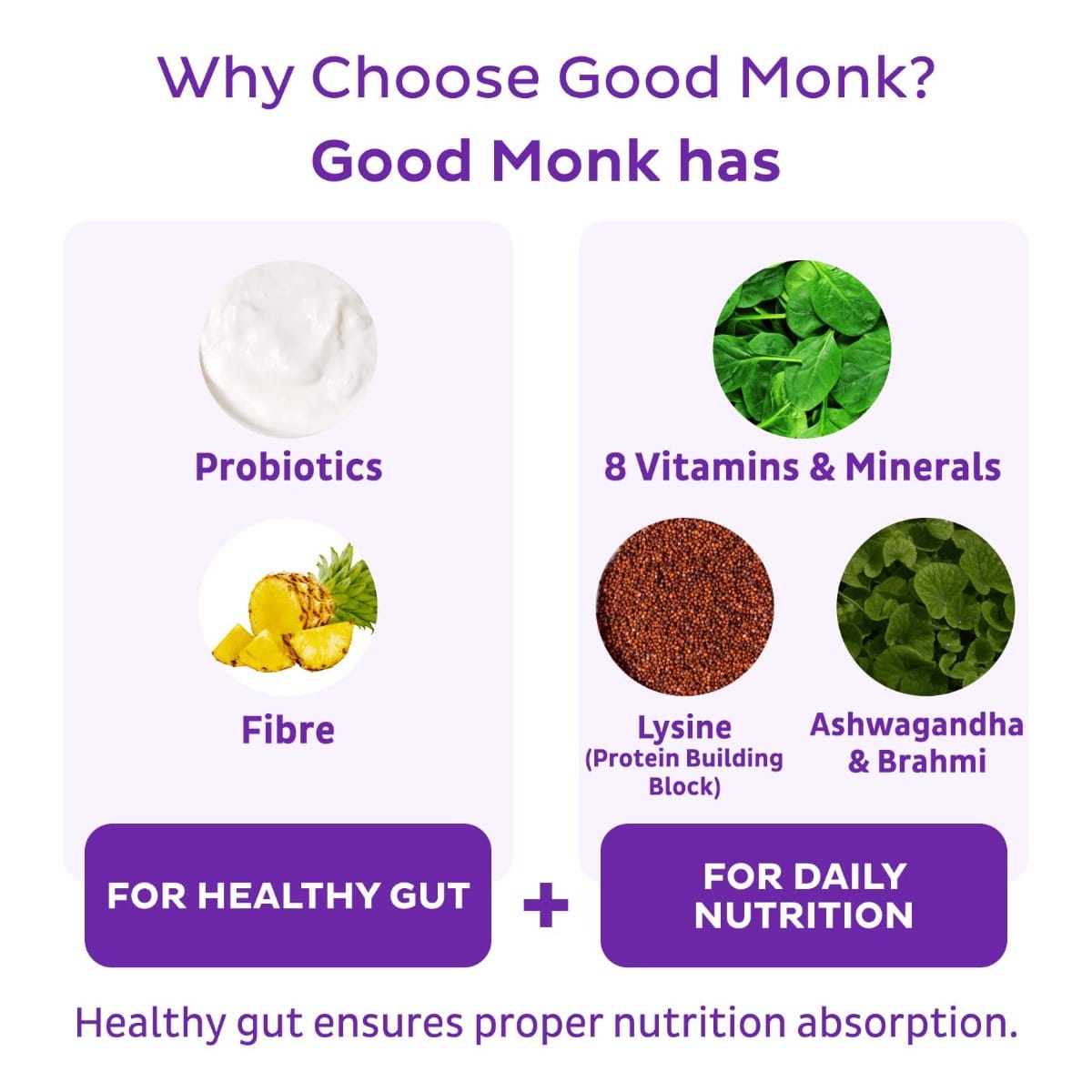 Good Monk Multivitamin, Probiotic & Fibre Mix (Add to Food, No Taste ...