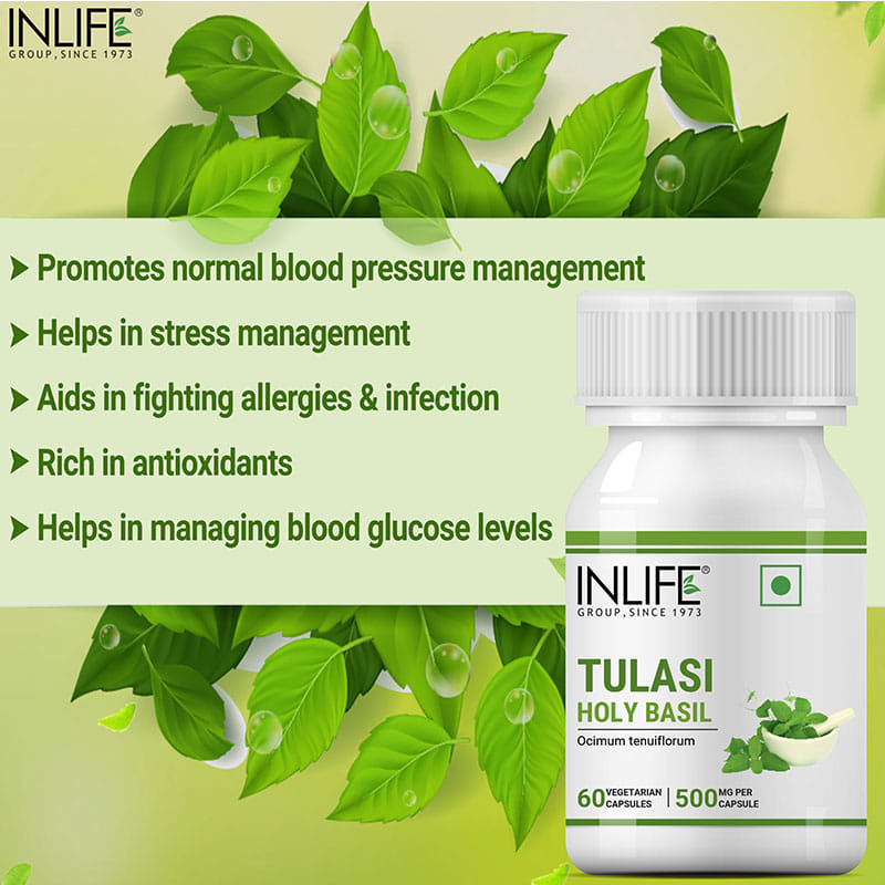 INLIFE Tulsi (Tulasi) Extract Holy Basil Supplement Natural Immunity ...