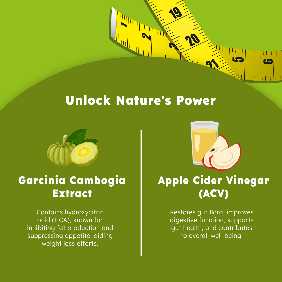 Vito Daily Metabolism direct to mouth powder supports weight management ...