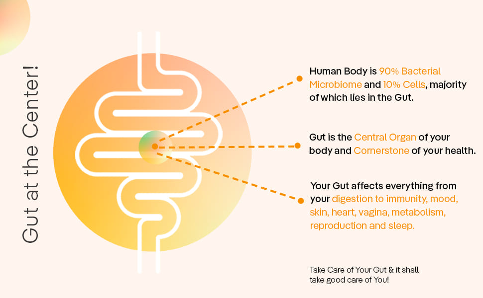 The Good Bug Gut Balance SuperGut Stick for Healthy Digestion | Pre ...