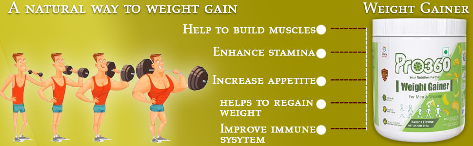 Pro360 Weight Gainer High Protein Powder - Calorie Rich Complete ...